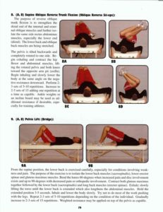 Strength Book: Active Isolated Strengthening: The Mattes Method ...
